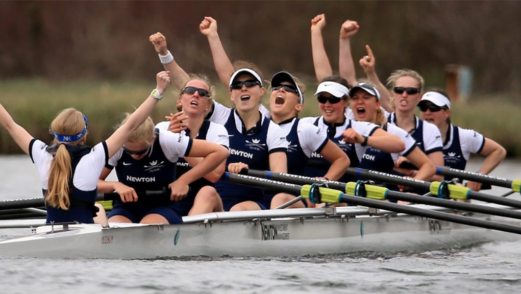 Teamwork – a success formula for any organization? | AlphaGamma