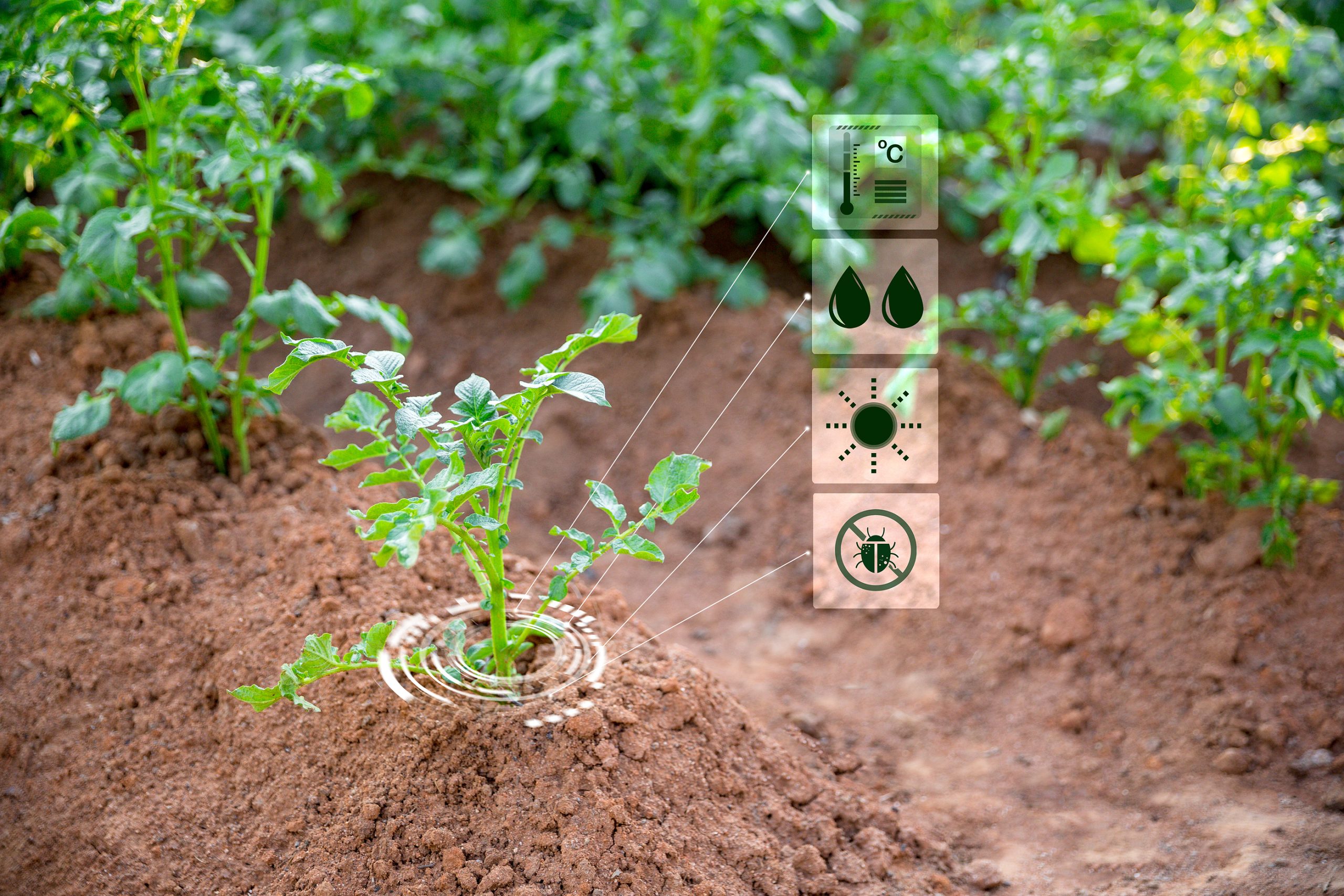 The Next Frontier: Leveraging AI and Agriculture